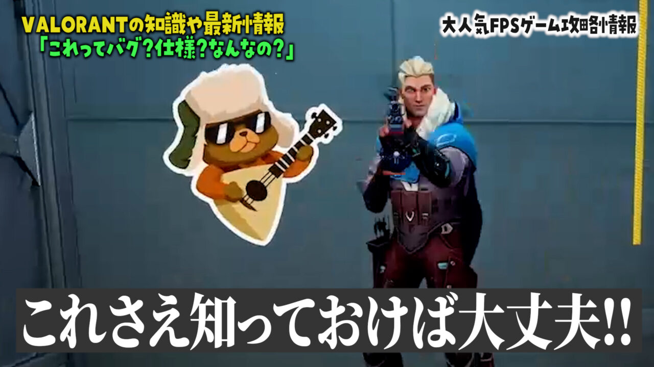 【VALORANT】回線速度は速いのに一瞬だけラグくなる！RTTスパイクの原因と対処法│BIGORAN（ビゴラン）